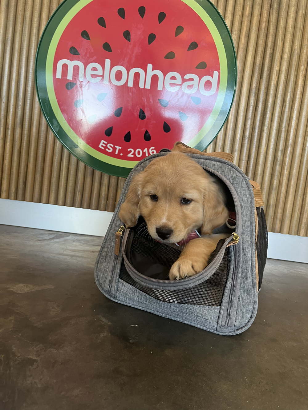 Melonhead — Juices, Smoothies, Acai Bowls