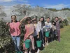 Pick Your Own — Bilpin Botanic Orchard