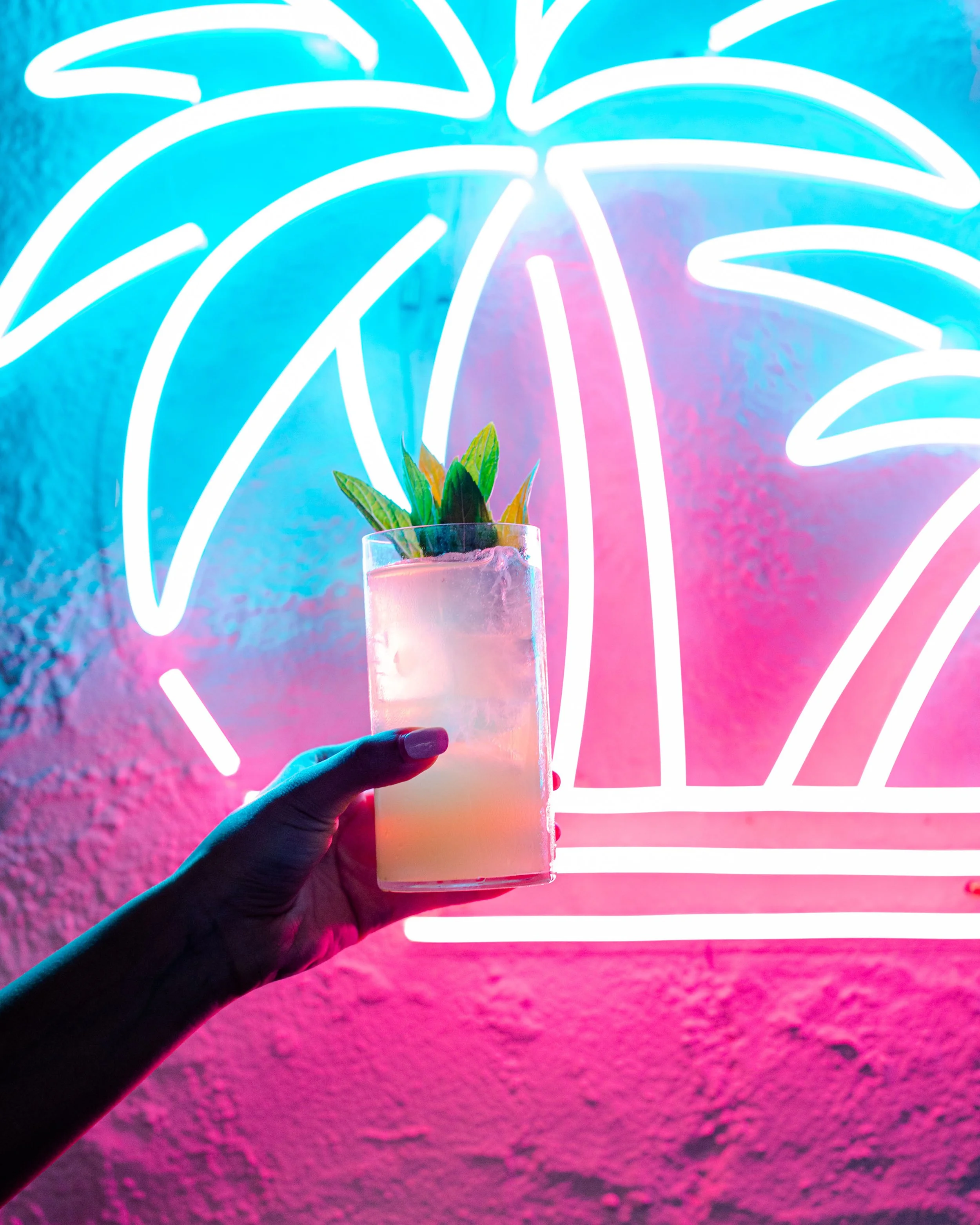 Neon Palms