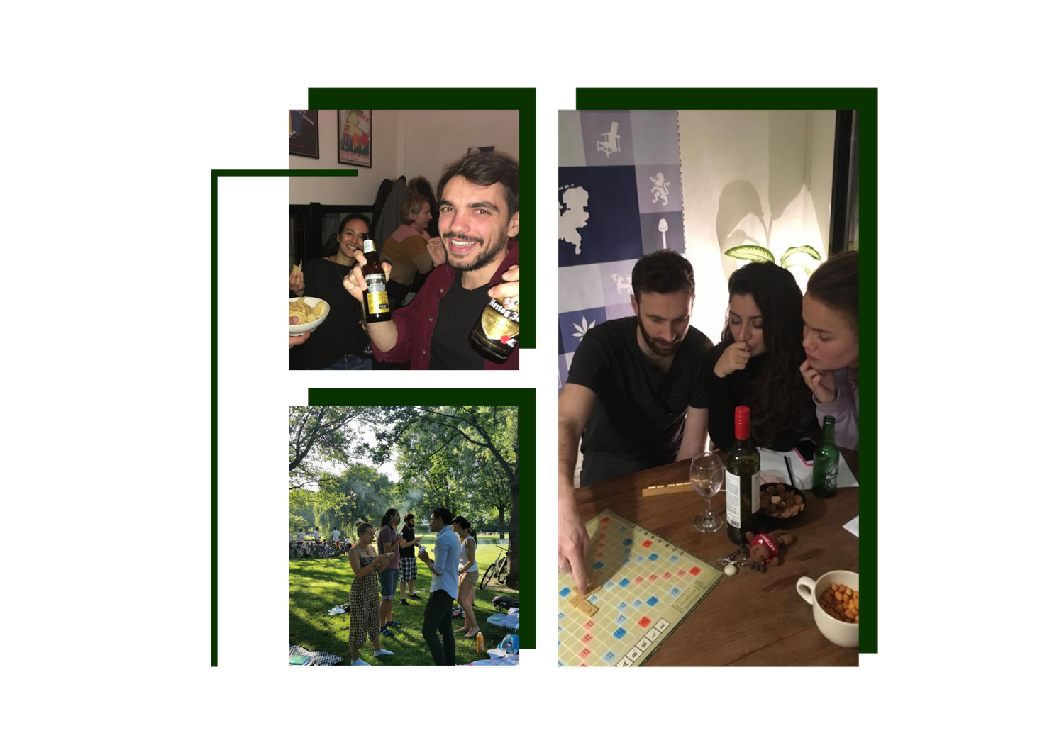 our offer — Dutch Courses Rotterdam