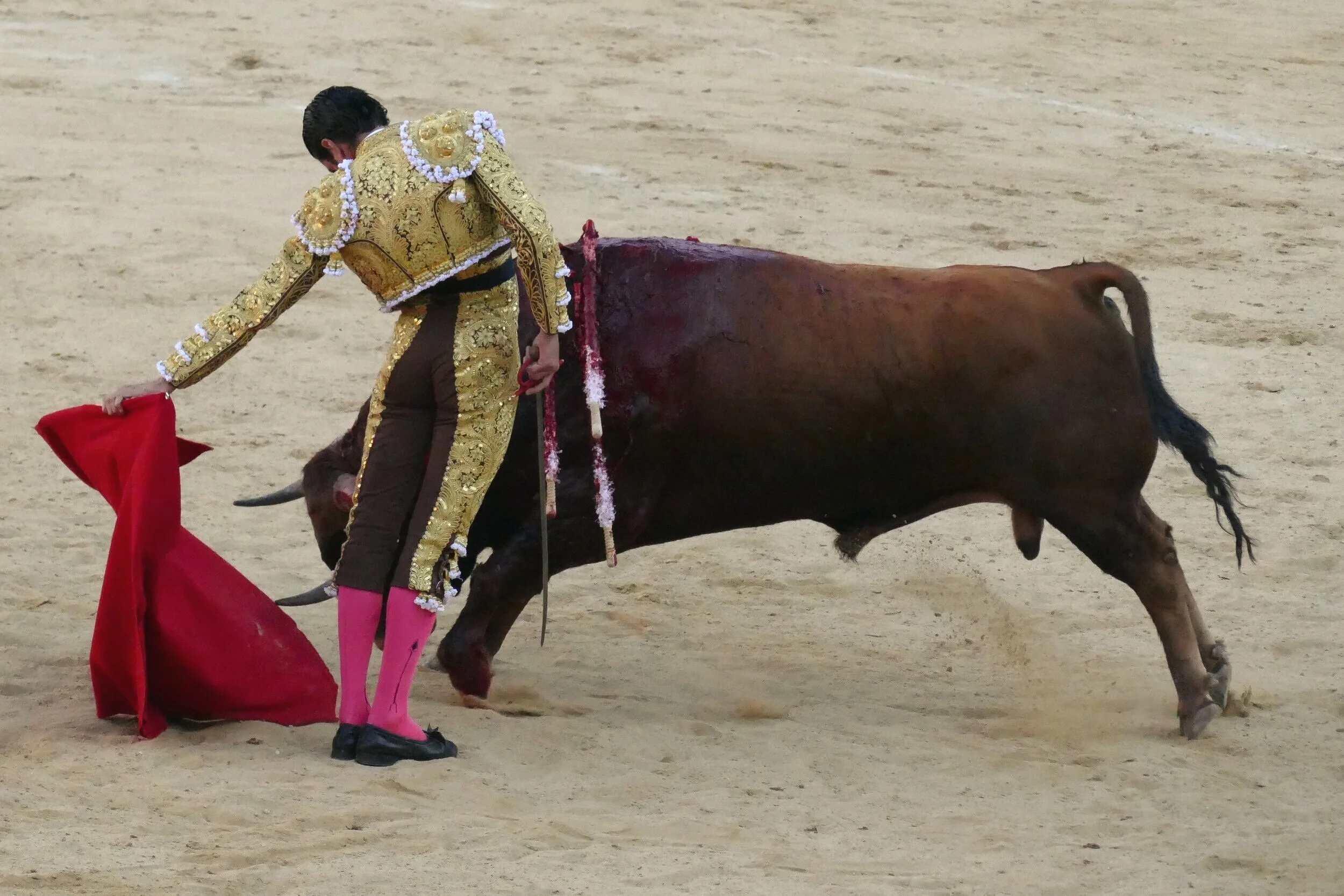 Albacete Sept.10: Disastrous bulls from Daniel Ruiz — toros:toreros