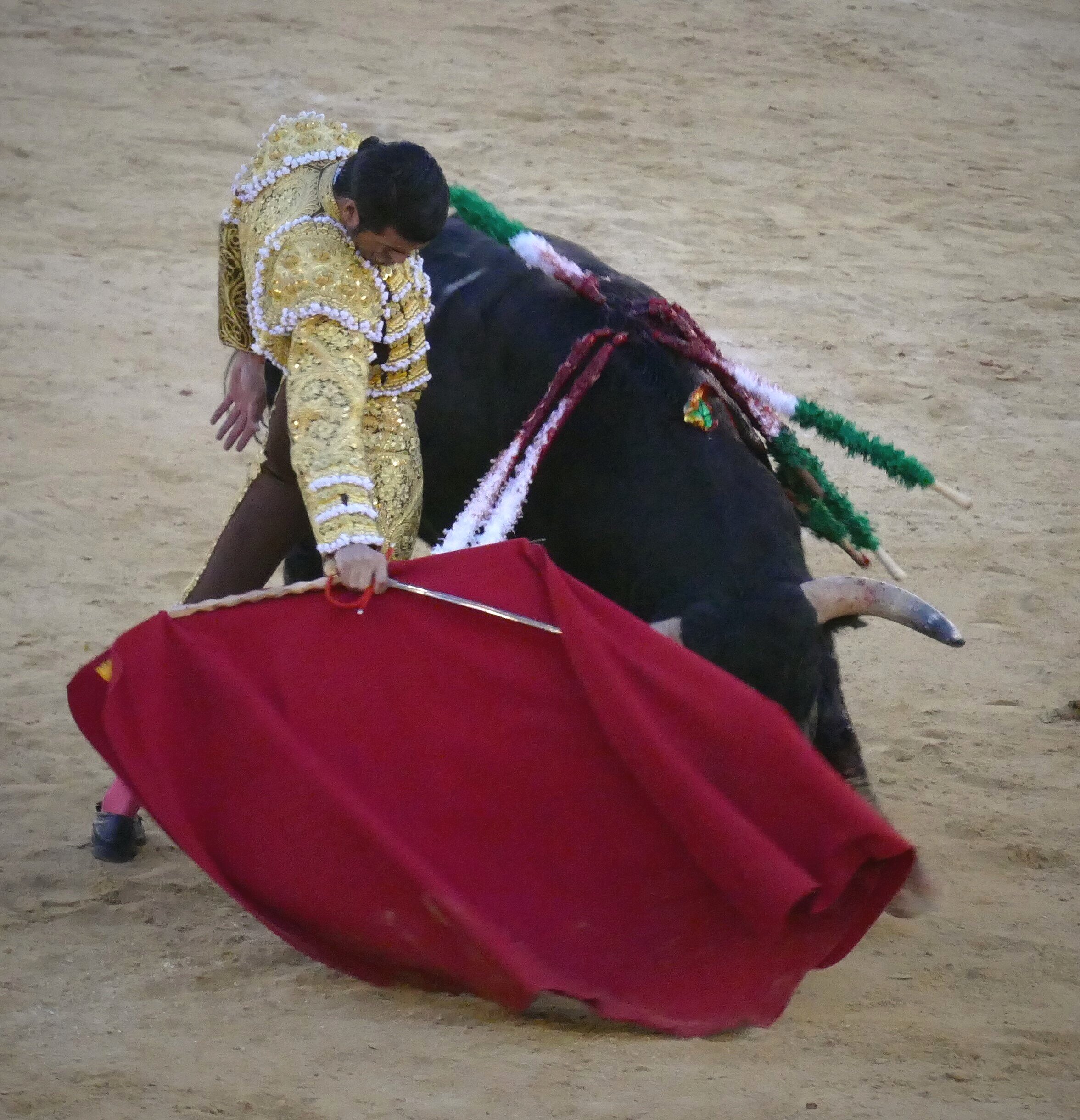 Albacete Sept.10: Disastrous bulls from Daniel Ruiz — toros:toreros