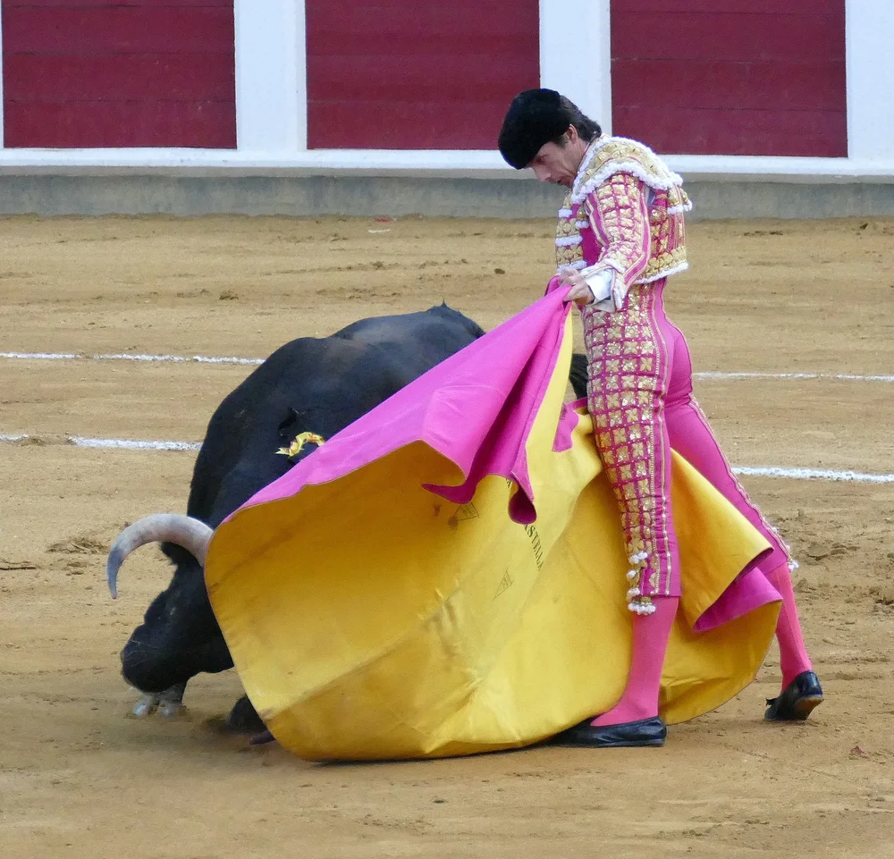 The year’s top toreros (2023 Season Review Pt1) — toros:toreros