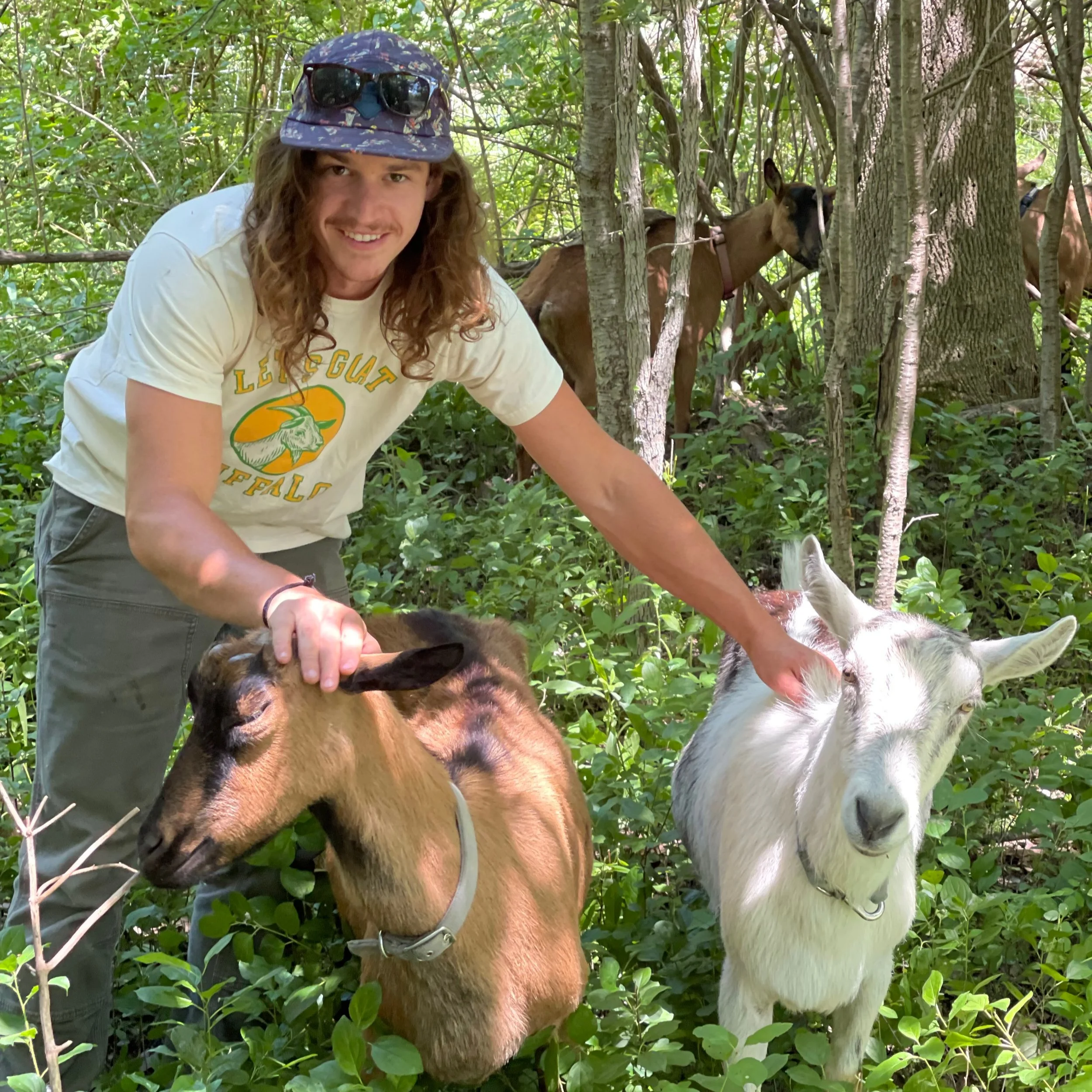 General 4 — Let's Goat Buffalo