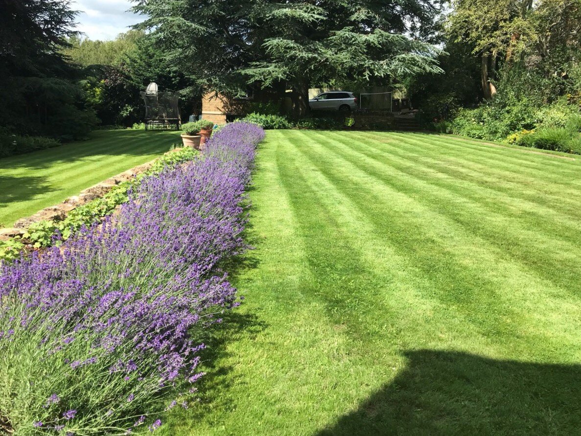 What is the lawn mowing season in the UK? | A pro's guide