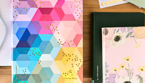 Erin Condren 2026 Collection Launch — The Planner Wire