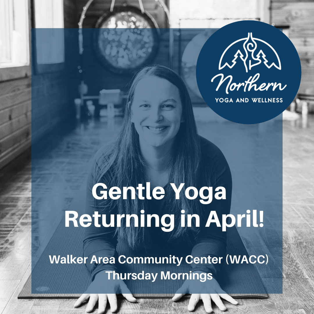 Northern Yoga and Wellness