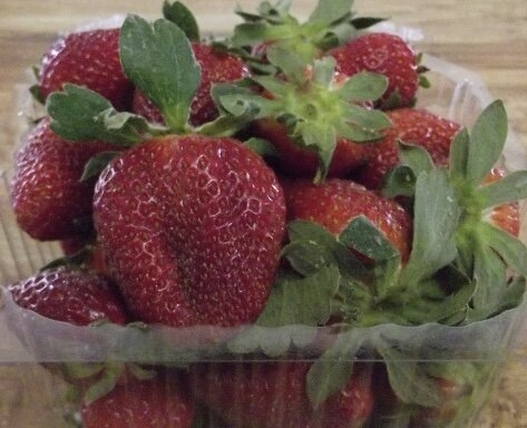 Farm Fresh Express Store — Farm Fresh Express