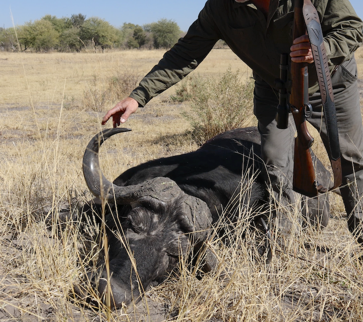 Namibia Hunt/Photo Safari Magic — Ron Spomer Outdoors
