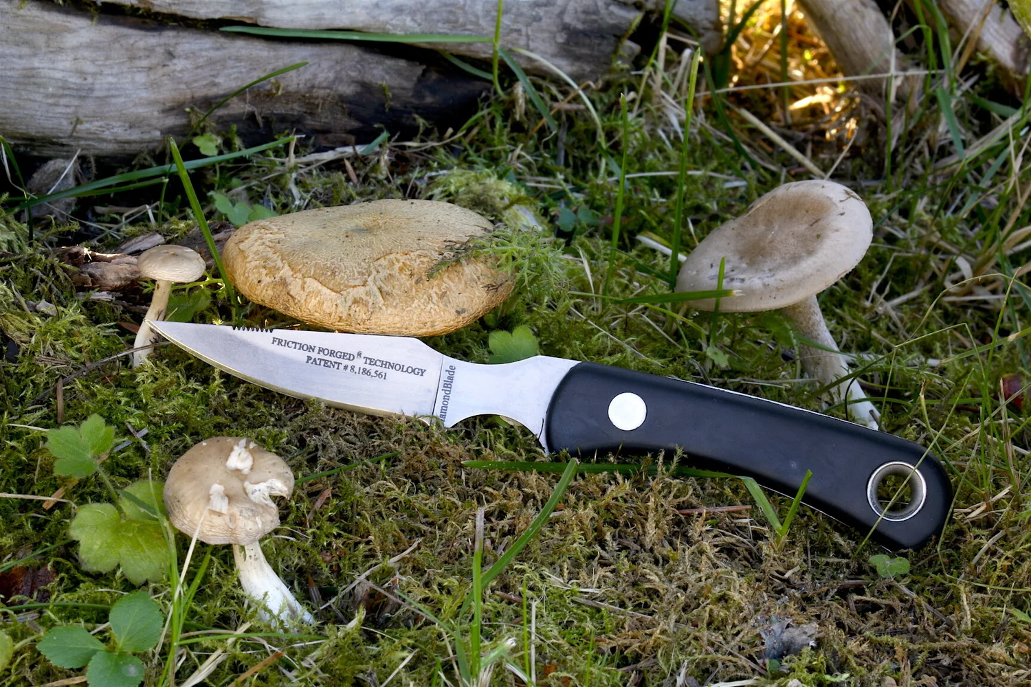 Diamond Blade Knives Stay Sharp Longer — Ron Spomer Outdoors