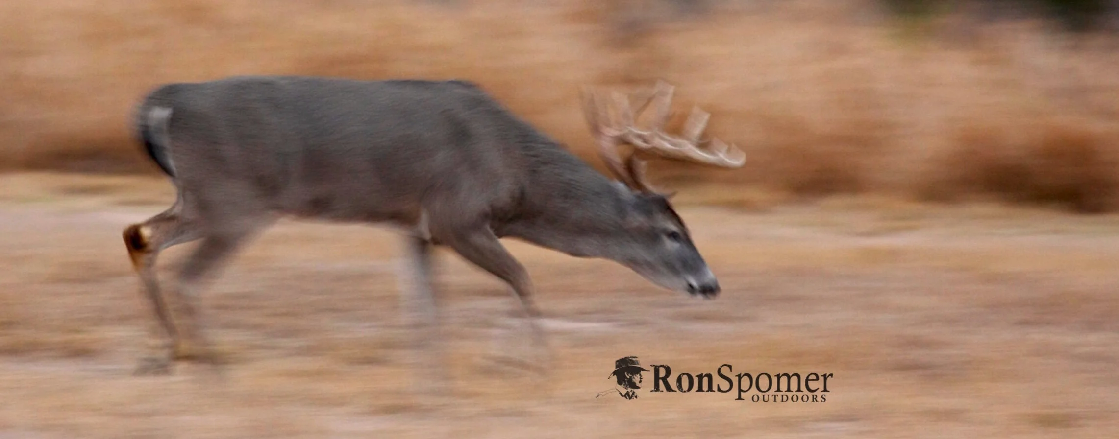 Surprising Full Moon Deer Activity — Ron Spomer Outdoors