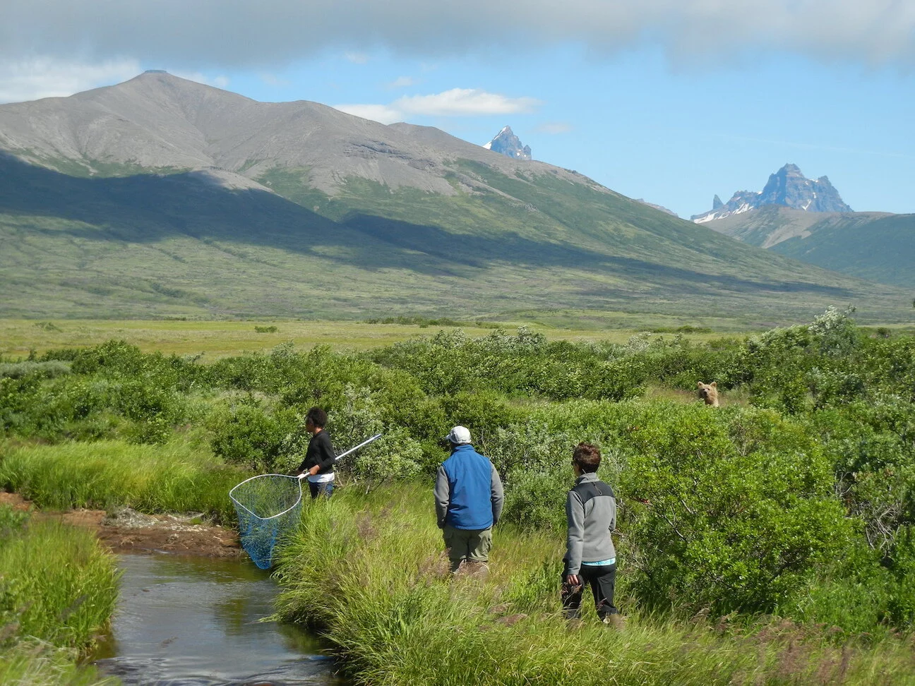 Big Brown Bears Via Tia Alaska Guide — Ron Spomer Outdoors