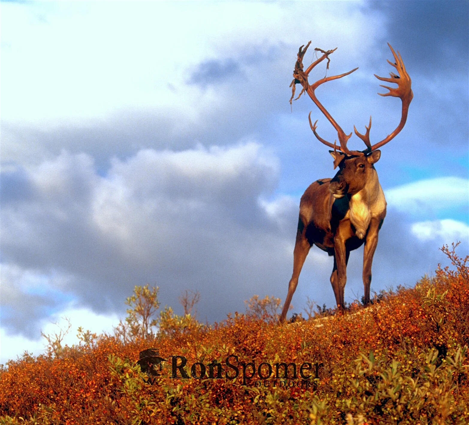 Tia's AK Hunt Tips Part 2 — Ron Spomer Outdoors