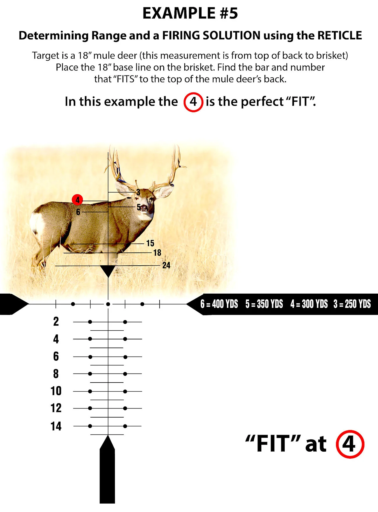 FIT TO HIT Reticle Best Hunting Scope? — Ron Spomer Outdoors