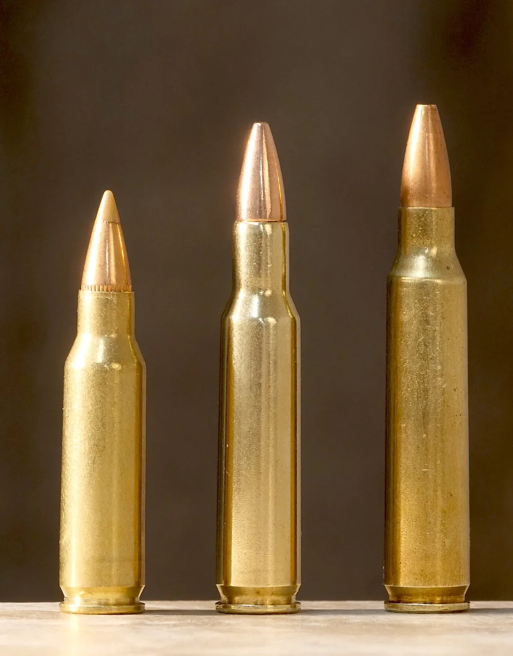 How Did 222 Remington Generate a World Famous Family, Yet Die in the ...