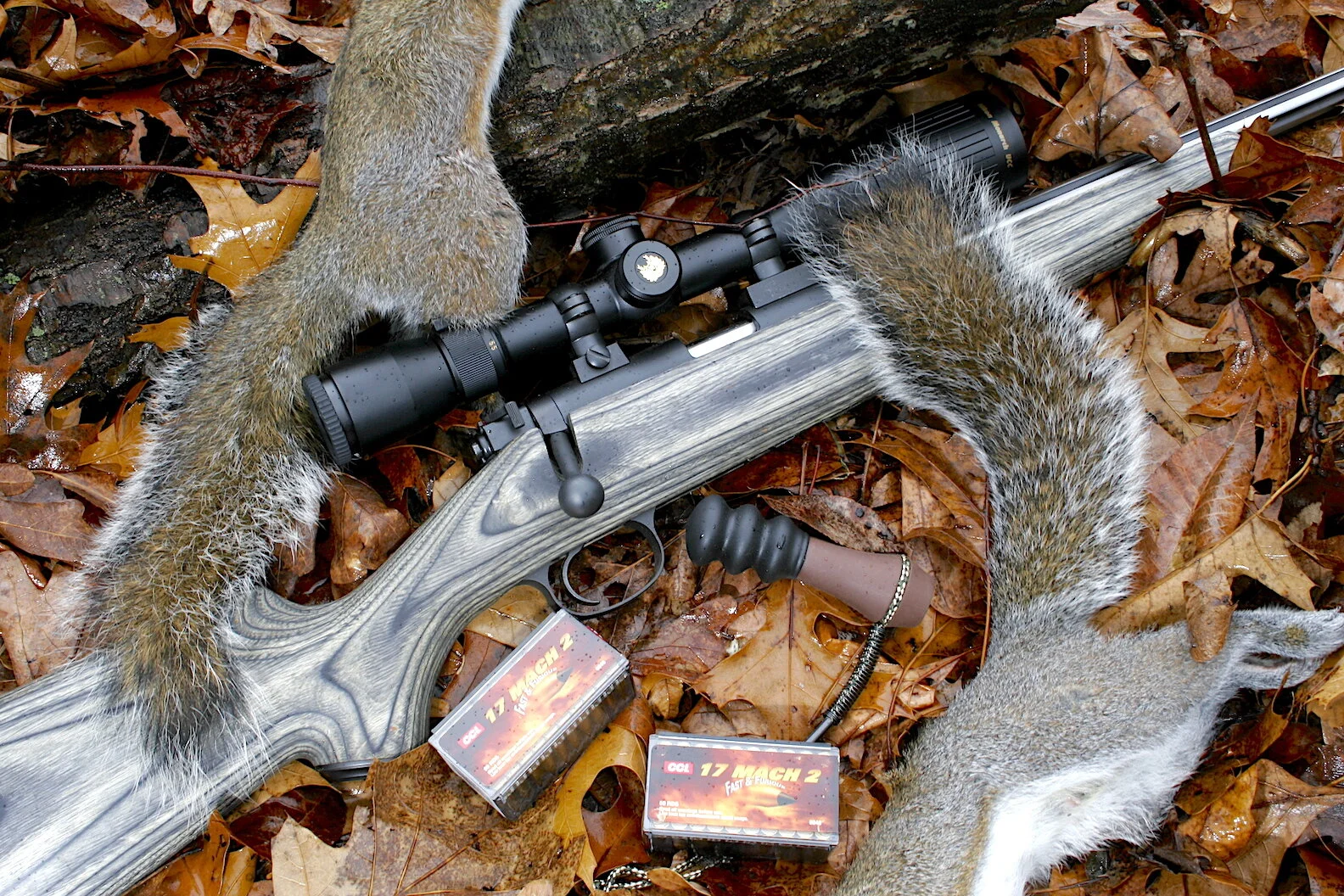 World’s Smallest Rifle Cartridge (and friends) — Ron Spomer Outdoors