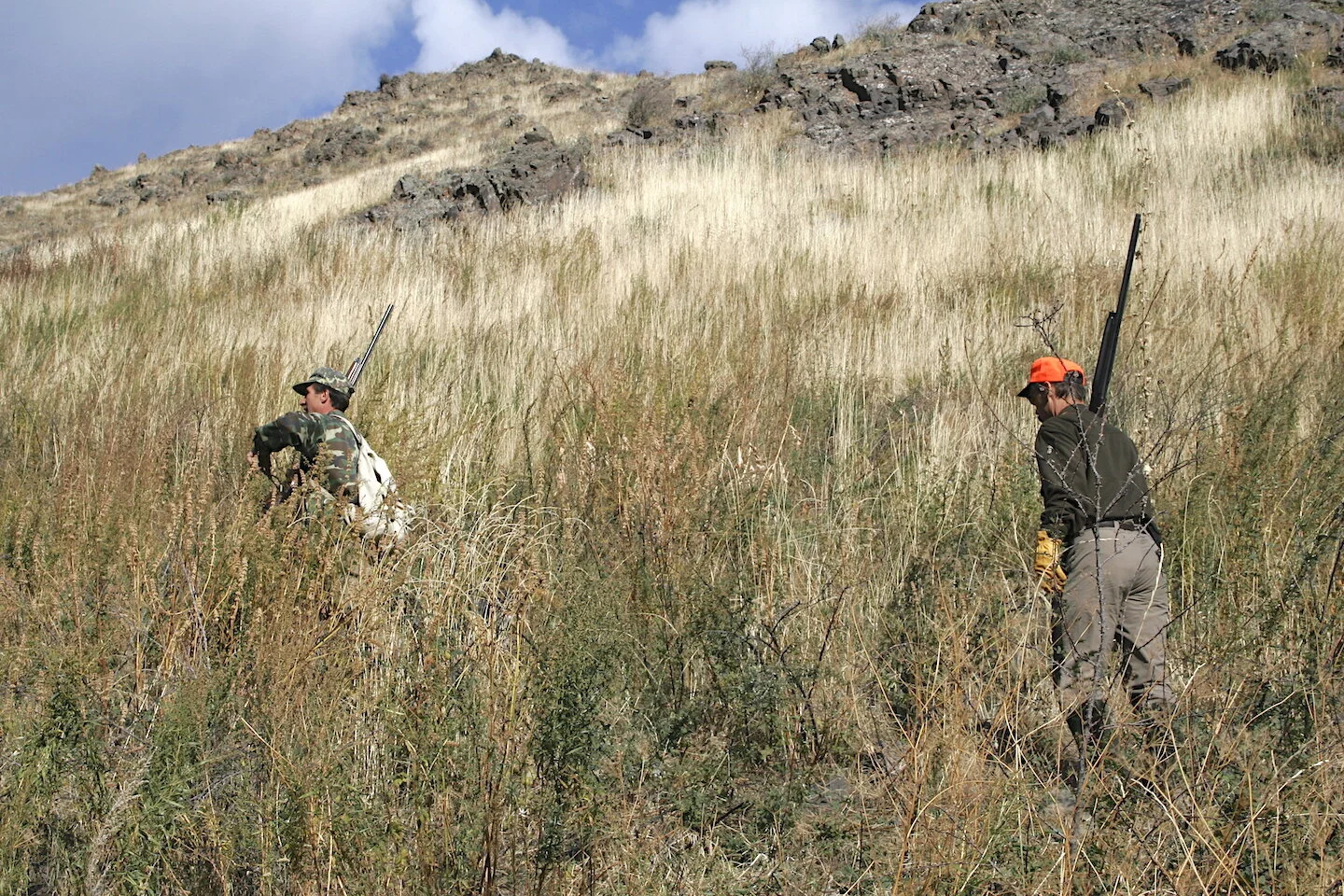 World Class Pheasant Hunting — Ron Spomer Outdoors