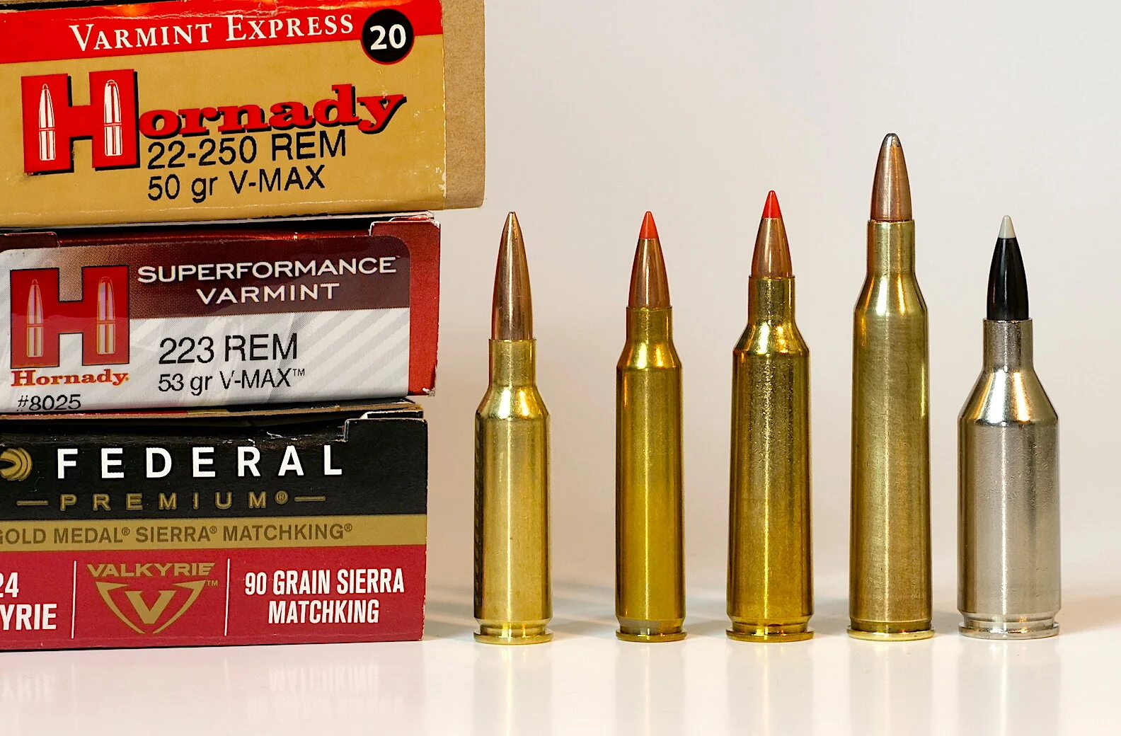 223 Remington 22 250 220 Swift And Friends For Deer Hunting Ron