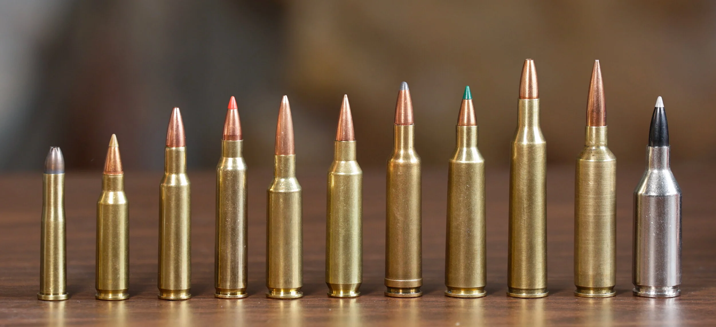 22 250 Rifle Ammo