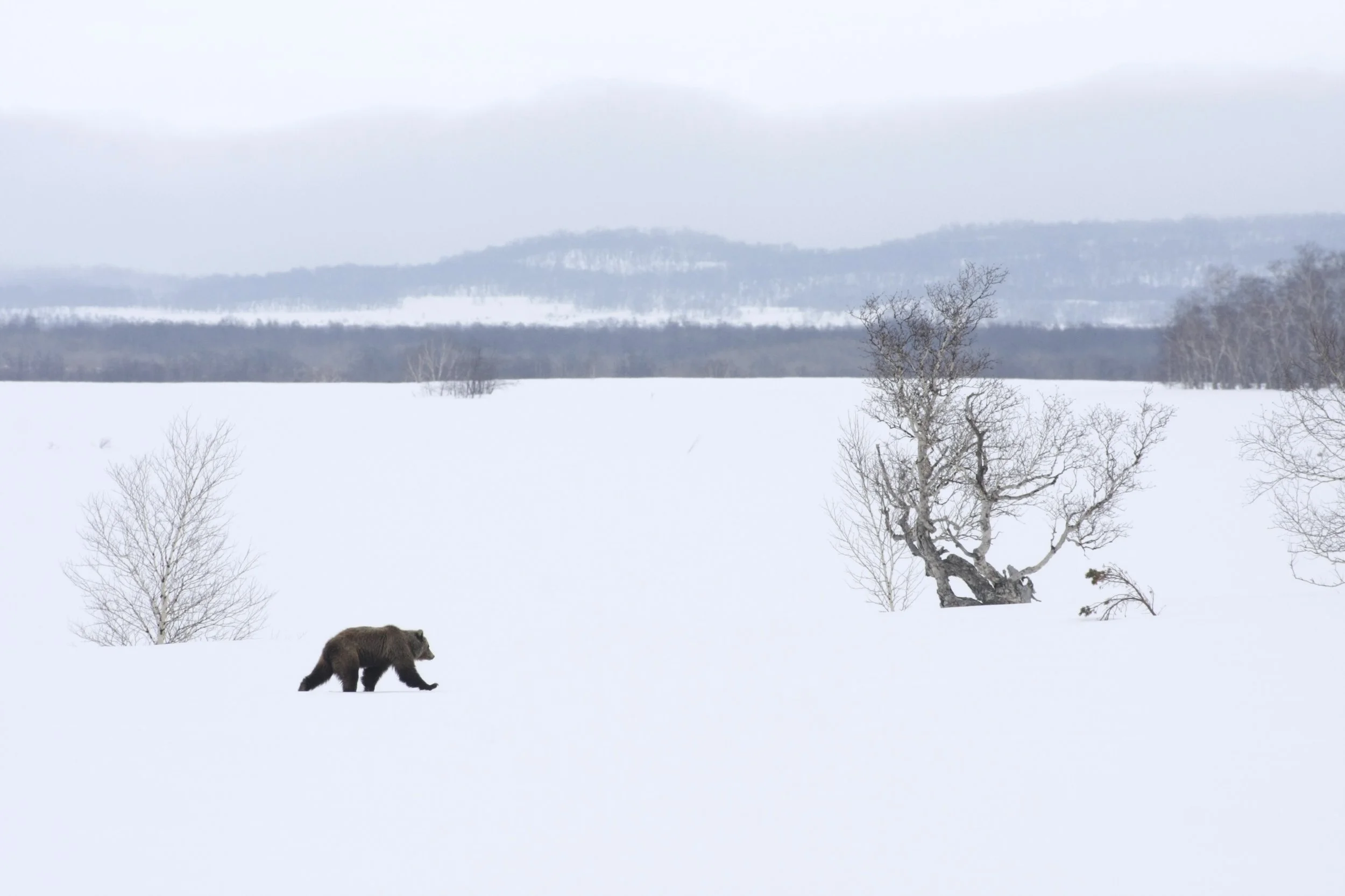 About — Ron Spomer Outdoors