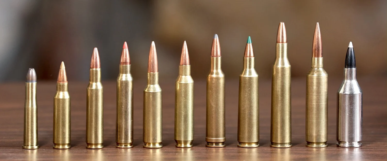 The Versatile 223 Remington — Ron Spomer Outdoors