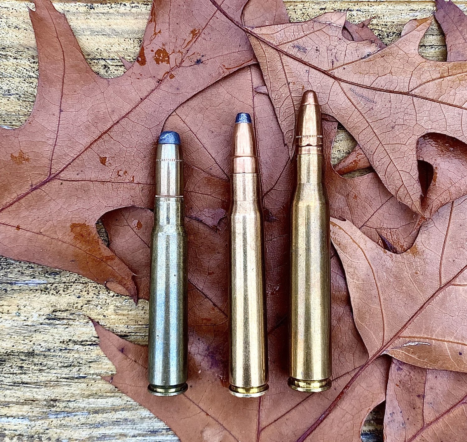 Is the 8x64S cartridge the best all around hunting cartridge? — Ron ...