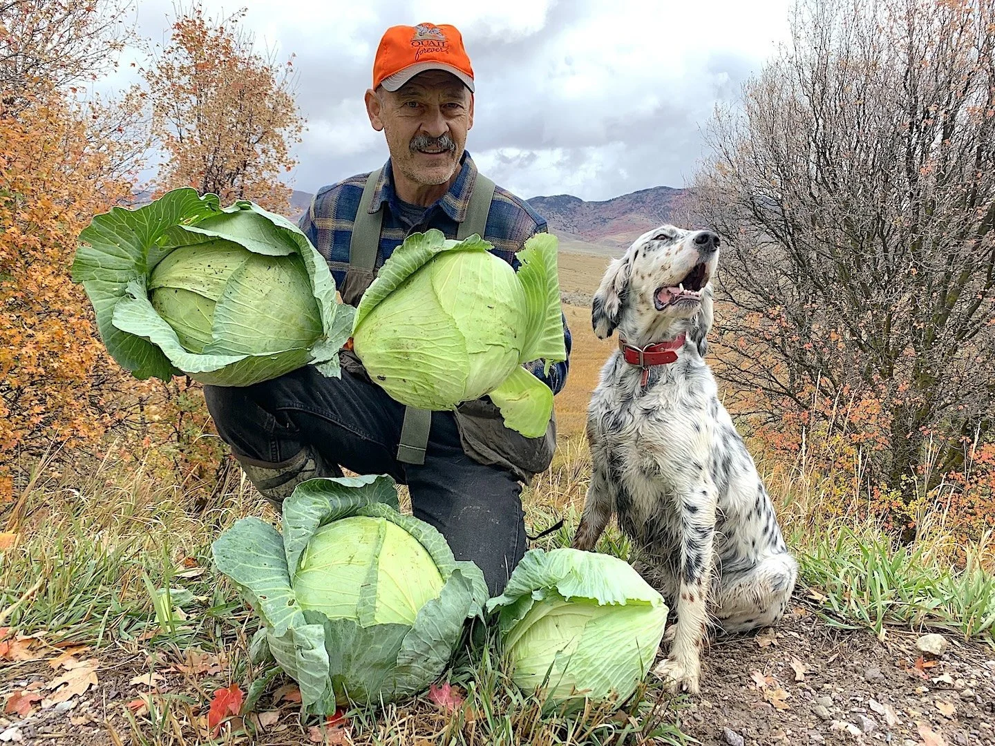 Elk Steak Enlightenment — Ron Spomer Outdoors