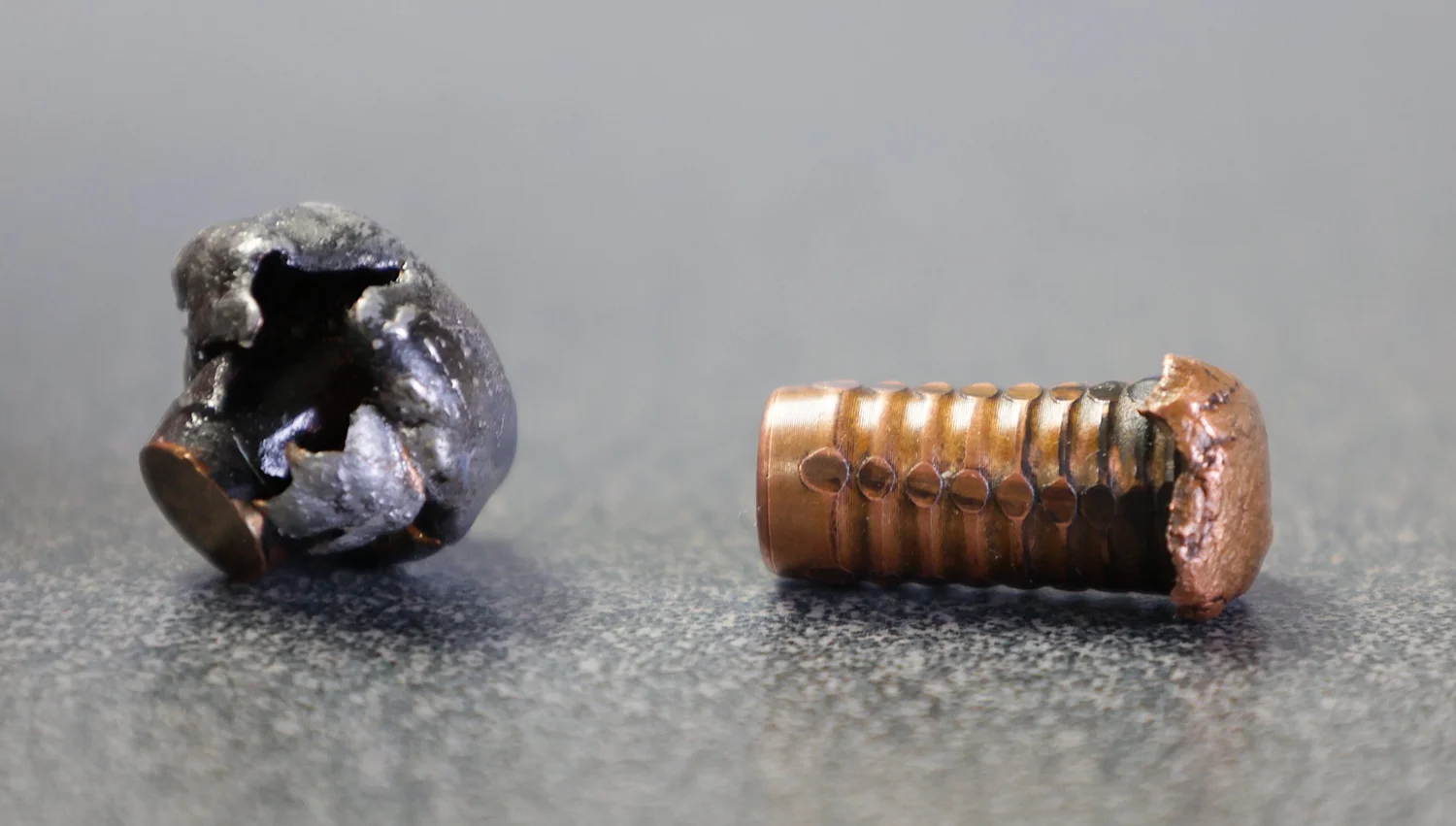 Hammer Bullet Performance in Africa — Ron Spomer Outdoors