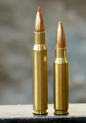 30-06 vs 308: The Swedish Perspective — Ron Spomer Outdoors