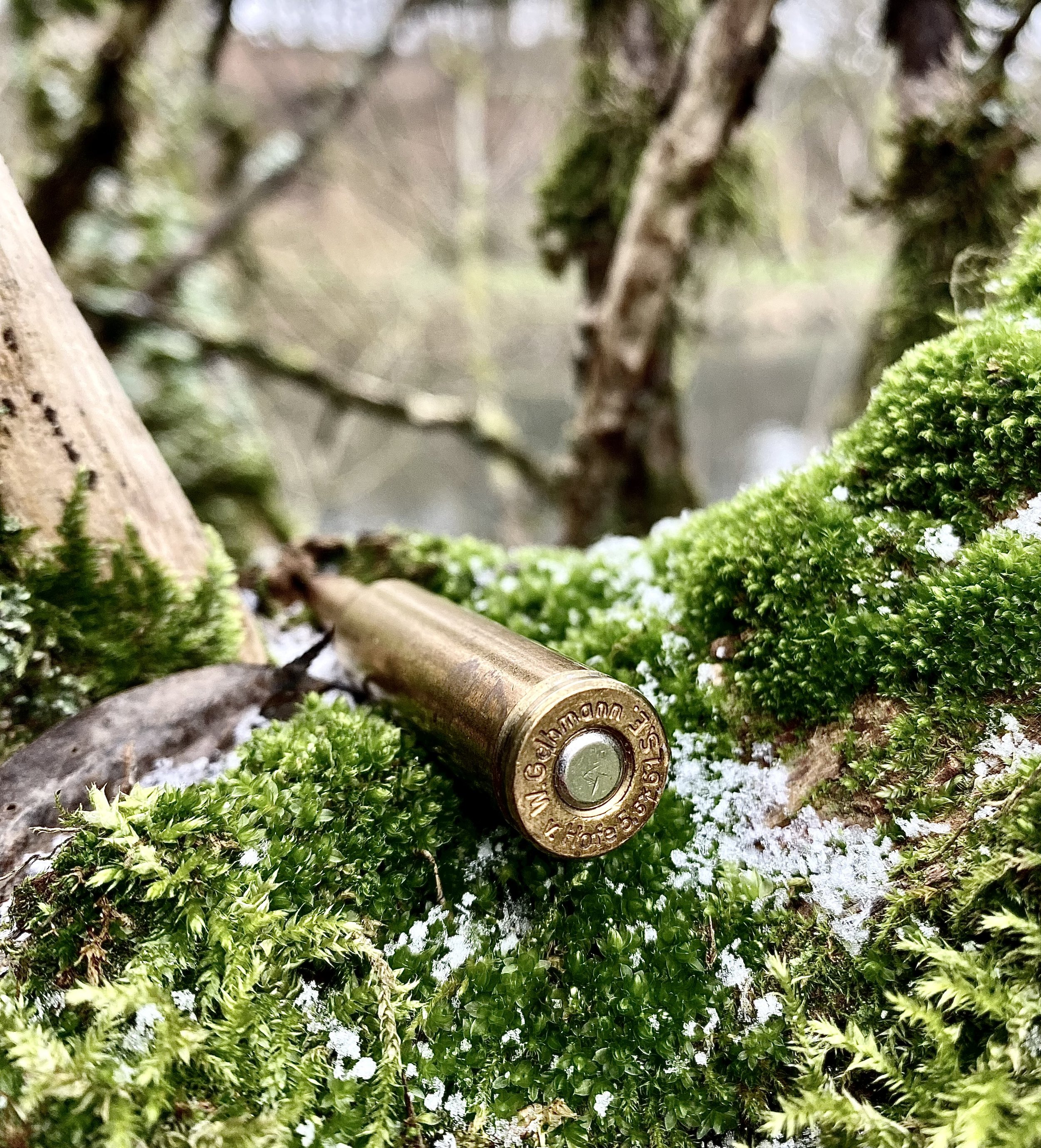 A Speedy Oddity — Ron Spomer Outdoors