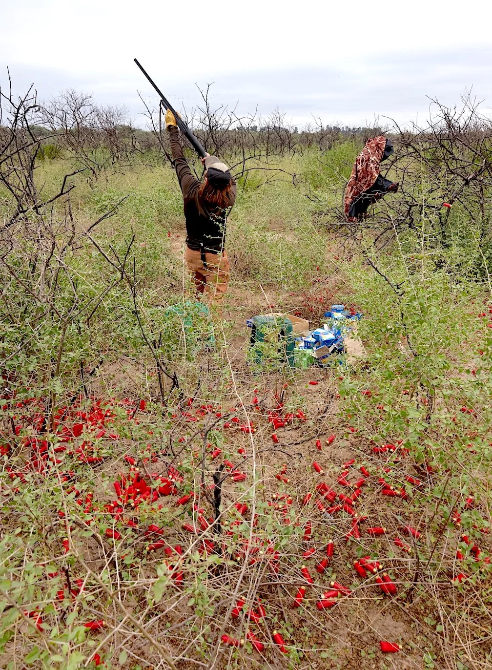 How to Bird Hunt — Ron Spomer Outdoors