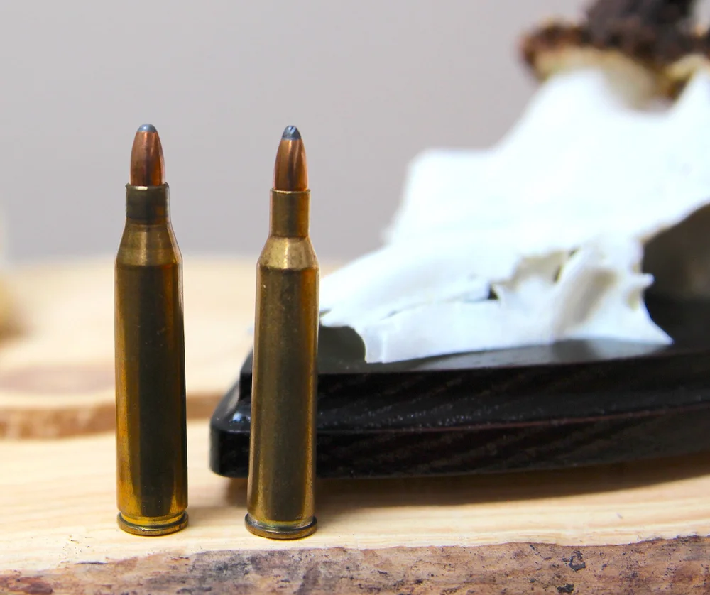 Unknown 22 Cartridge Shoots Faster than 220 Swift — Ron Spomer Outdoors