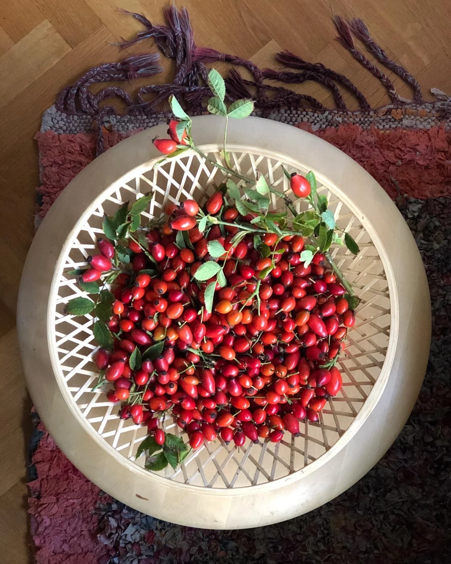 Nyponsoppa / rosehip soup — Life of a gardenista