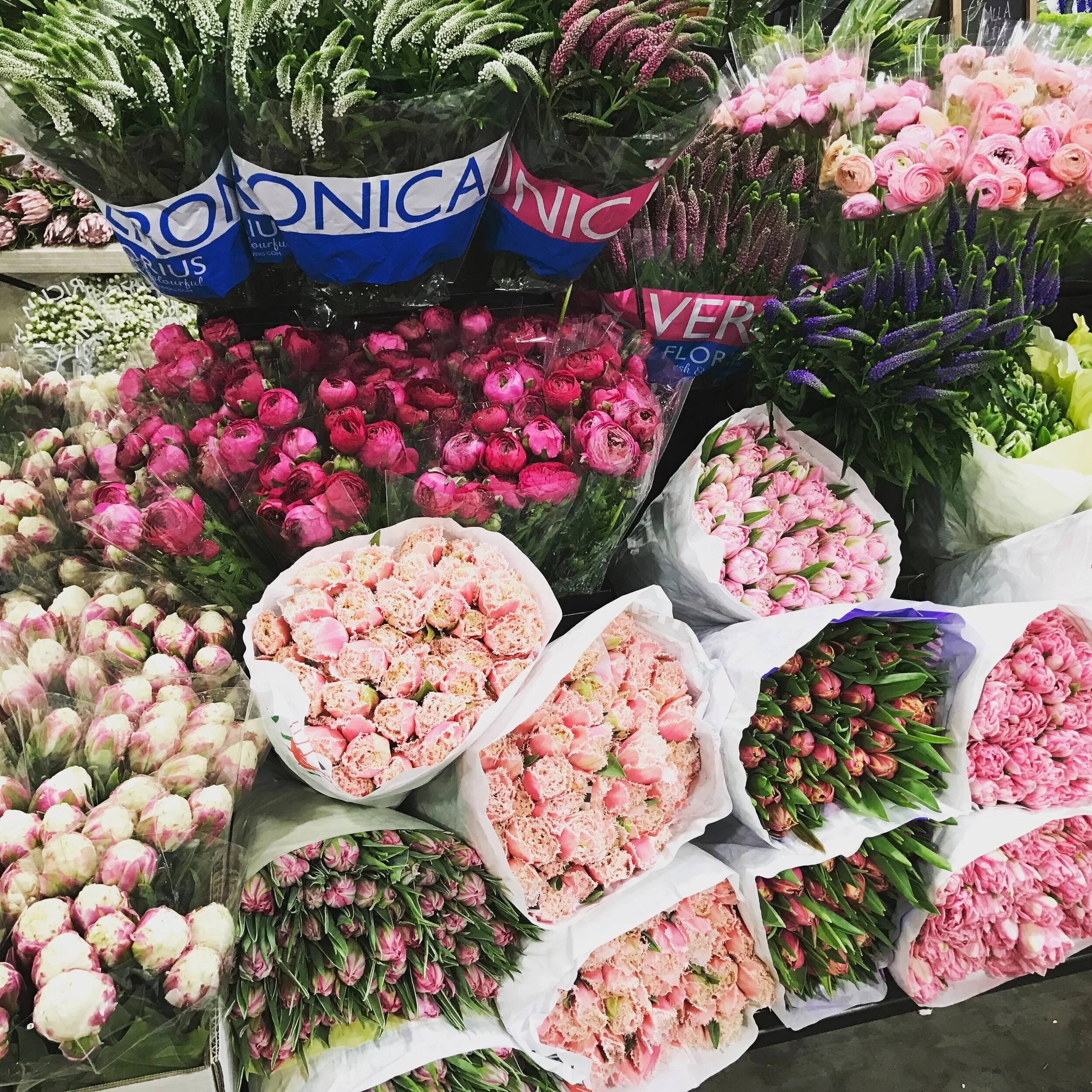 Fresh Cut Flowers — Direct Flowers