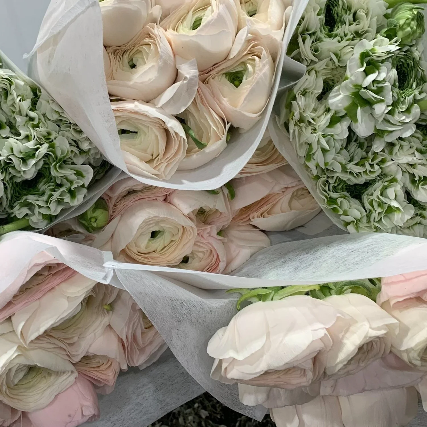 Fresh Cut Flowers — Direct Flowers