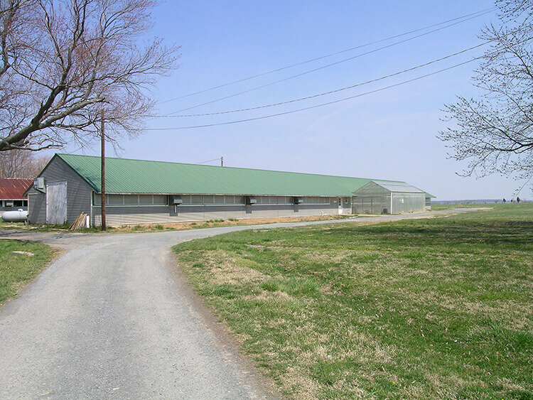 History — The Choptank Oyster Company