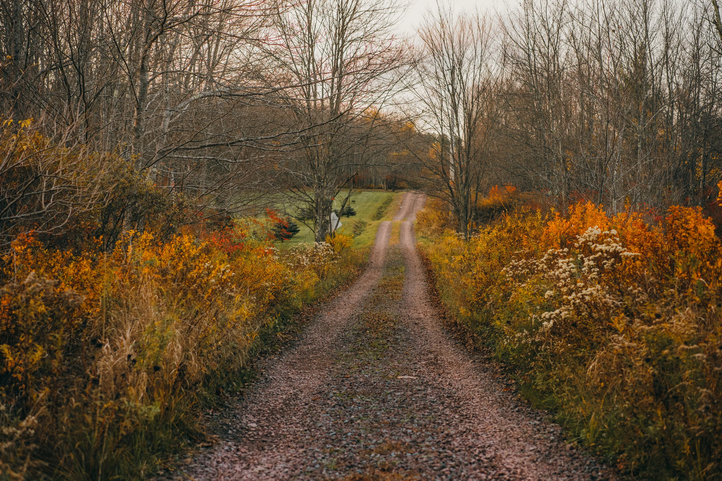 Explore — CRANBERRY POND HOUSE