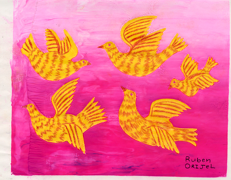 Variation In Birds
