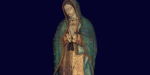 He Has His Mother’s Eyes: The Vision of Our Lady of Guadalupe — Beyond ...