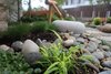 Carmel Malone Landscape Design