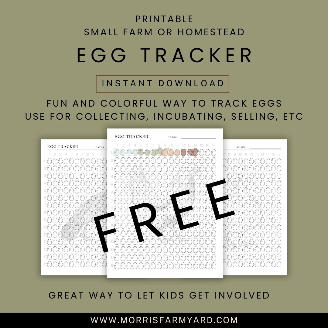 Digital Download Backyard Farm and Homestead Daily Tracker — Morris ...
