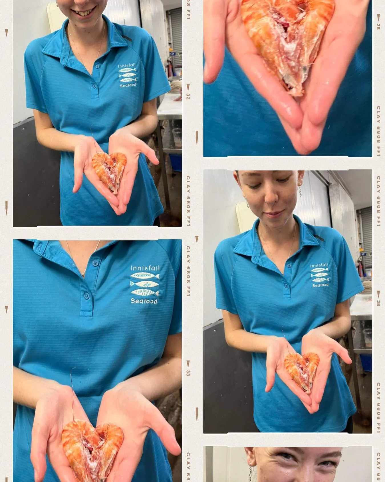 Innisfail Seafood - Fish And Chips | Seafood Restaurant Queensland