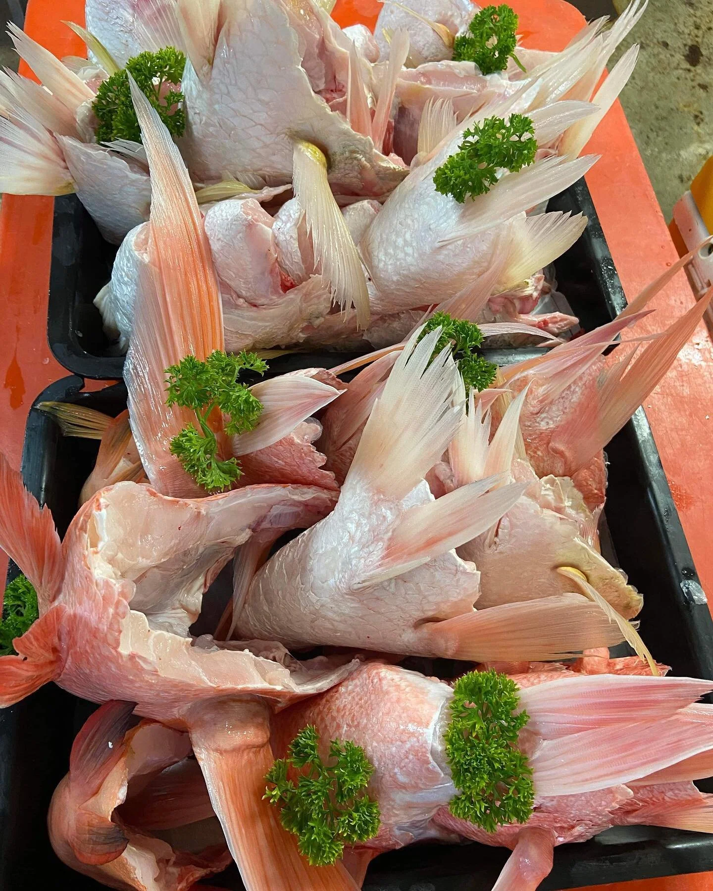 Innisfail Seafood - Fish And Chips | Seafood Restaurant Queensland