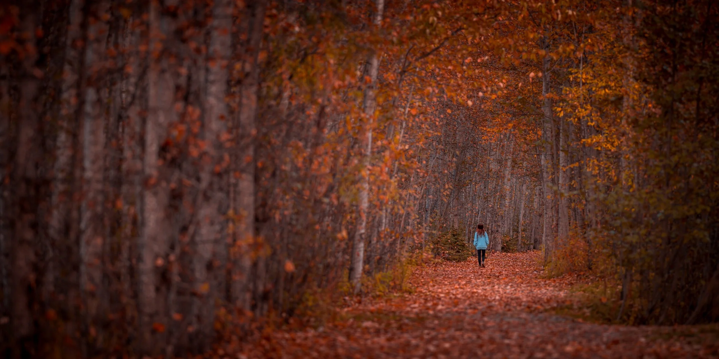 John Derting Productions