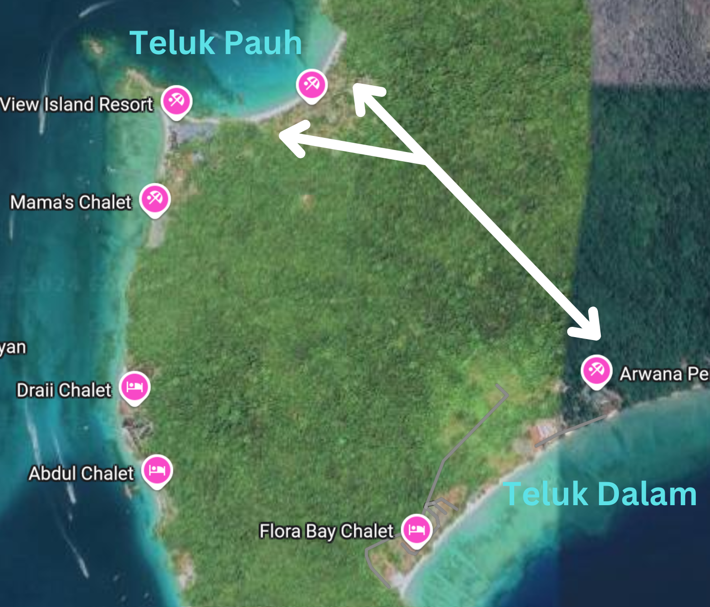 Jungle Trekking Perhentian Besar — Graceful Insights