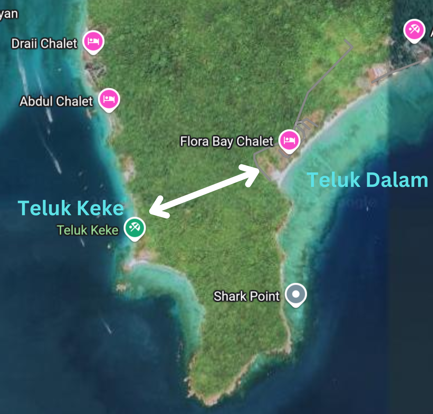 Jungle Trekking Perhentian Besar — Graceful Insights