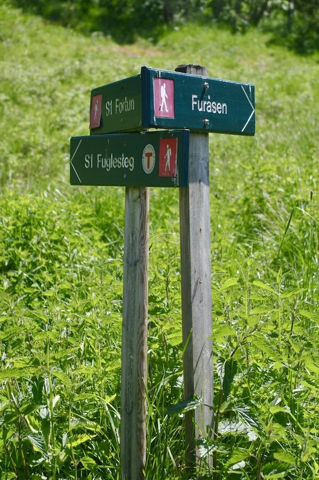 Fuglesteg 630 moh. og Furåsen 492 moh. — Fjellvenner.no