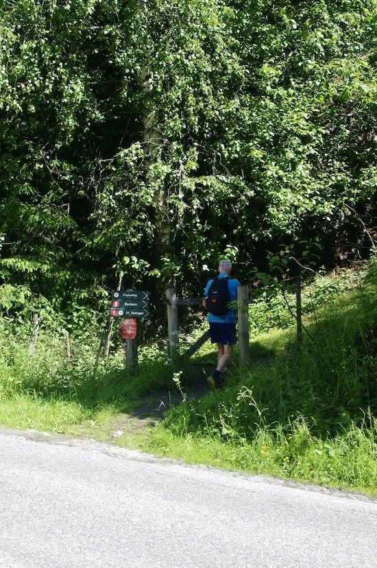 Fuglesteg 630 moh. og Furåsen 492 moh. — Fjellvenner.no