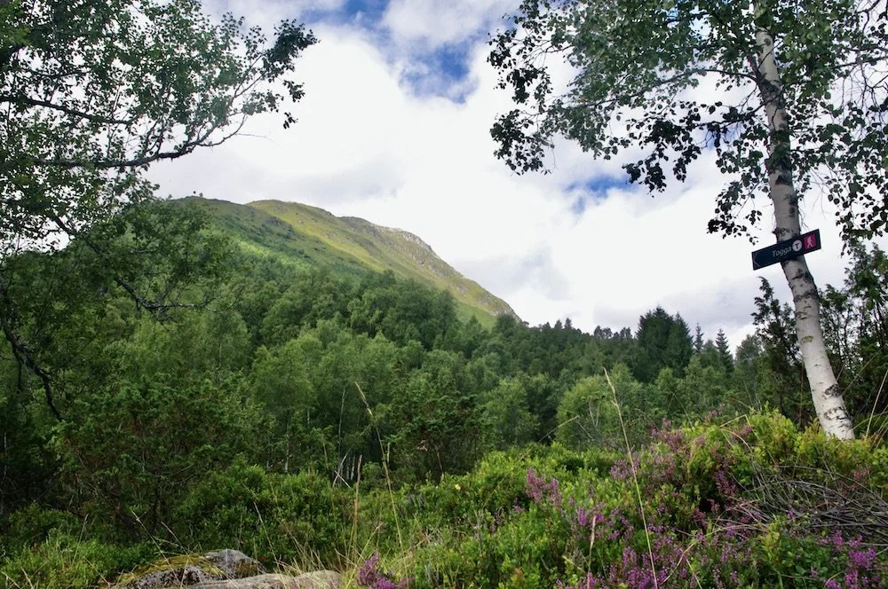 Togga 1205 moh. — Fjellvenner.no