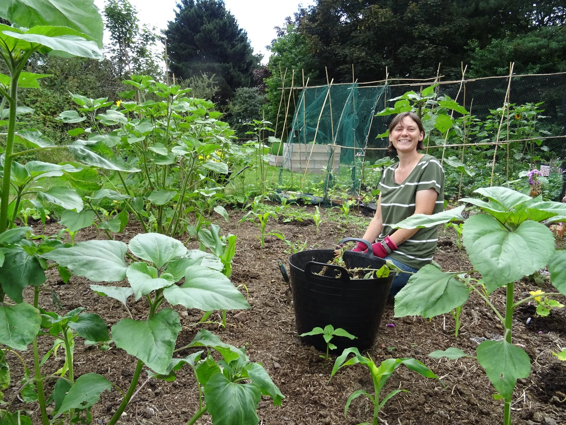 Bulwell Forest Garden